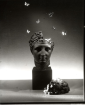 Cooper Hewitt Short Stories: Watch This Window | Cooper Hewitt ...