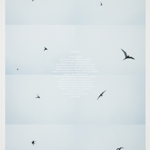 Rebeca Méndez | Cooper Hewitt, Smithsonian Design Museum