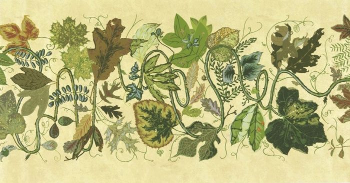 Leaf Pressings | Cooper Hewitt, Smithsonian Design Museum