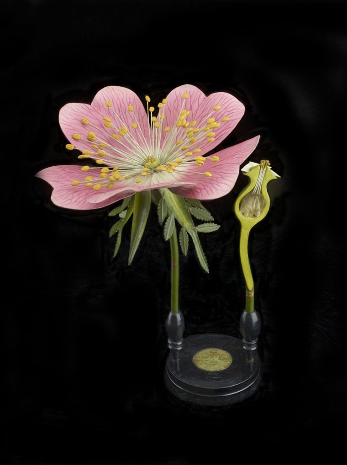 Nature by Design: Selections From The Permanent Collection | Cooper ...
