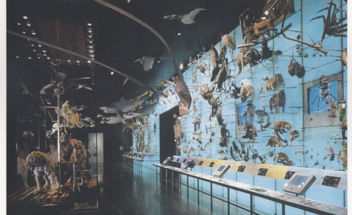 Communication Design | Cooper Hewitt, Smithsonian Design Museum