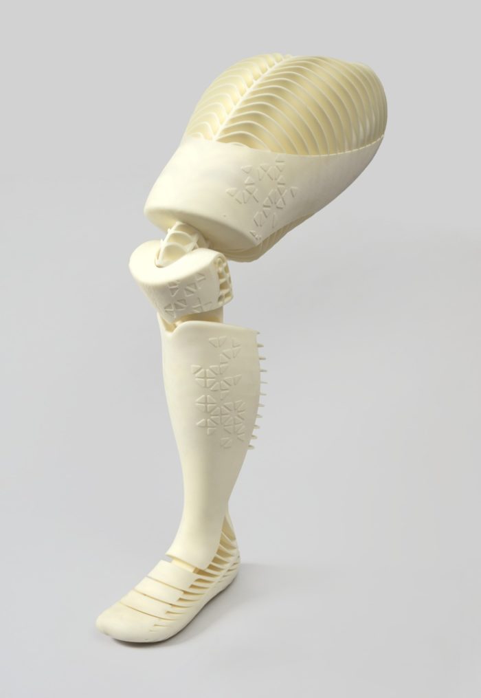 Next Steps in Prosthetics | Smithsonian Institution