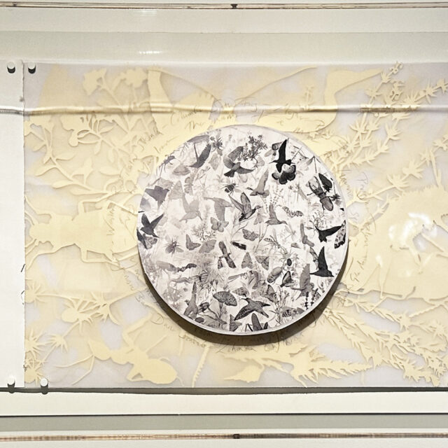 An Atlas of Es Devlin | Cooper Hewitt, Smithsonian Design Museum