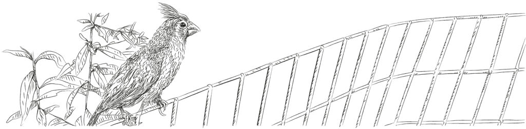 JANUARY: DRAWING | Cooper Hewitt, Smithsonian Design Museum
