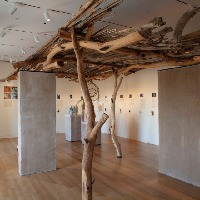 Making Home—Smithsonian Design Triennial | Cooper Hewitt, Smithsonian ...