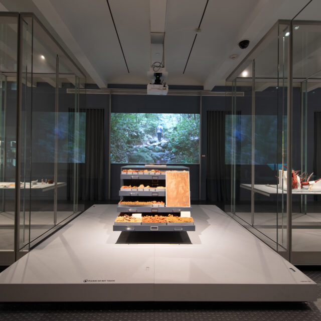 Making Home—Smithsonian Design Triennial | Cooper Hewitt, Smithsonian ...